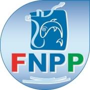 FNPP - CNGV-PP